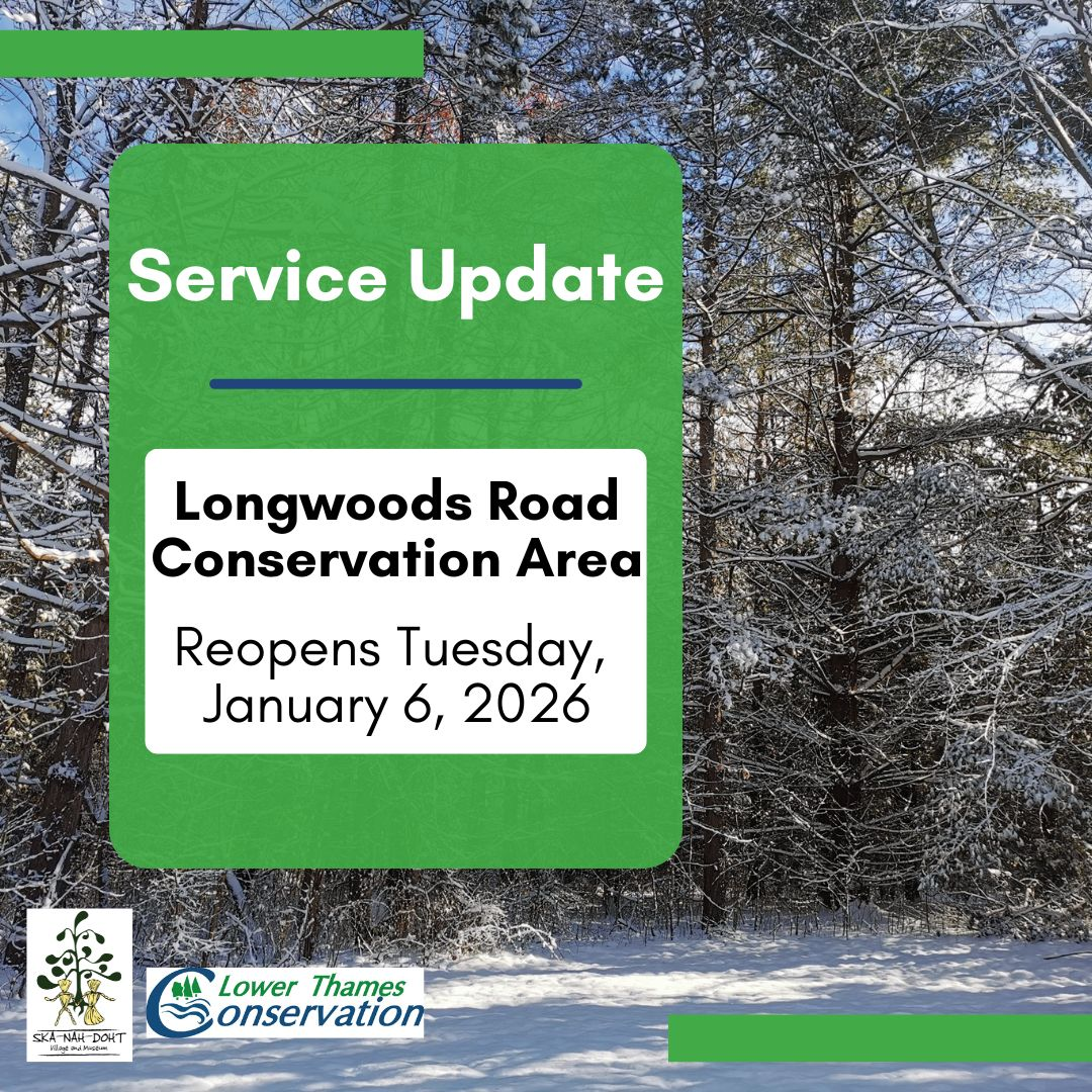 Longwoods Road Conservation Area Closed until January 6, 2026 · Lower ...